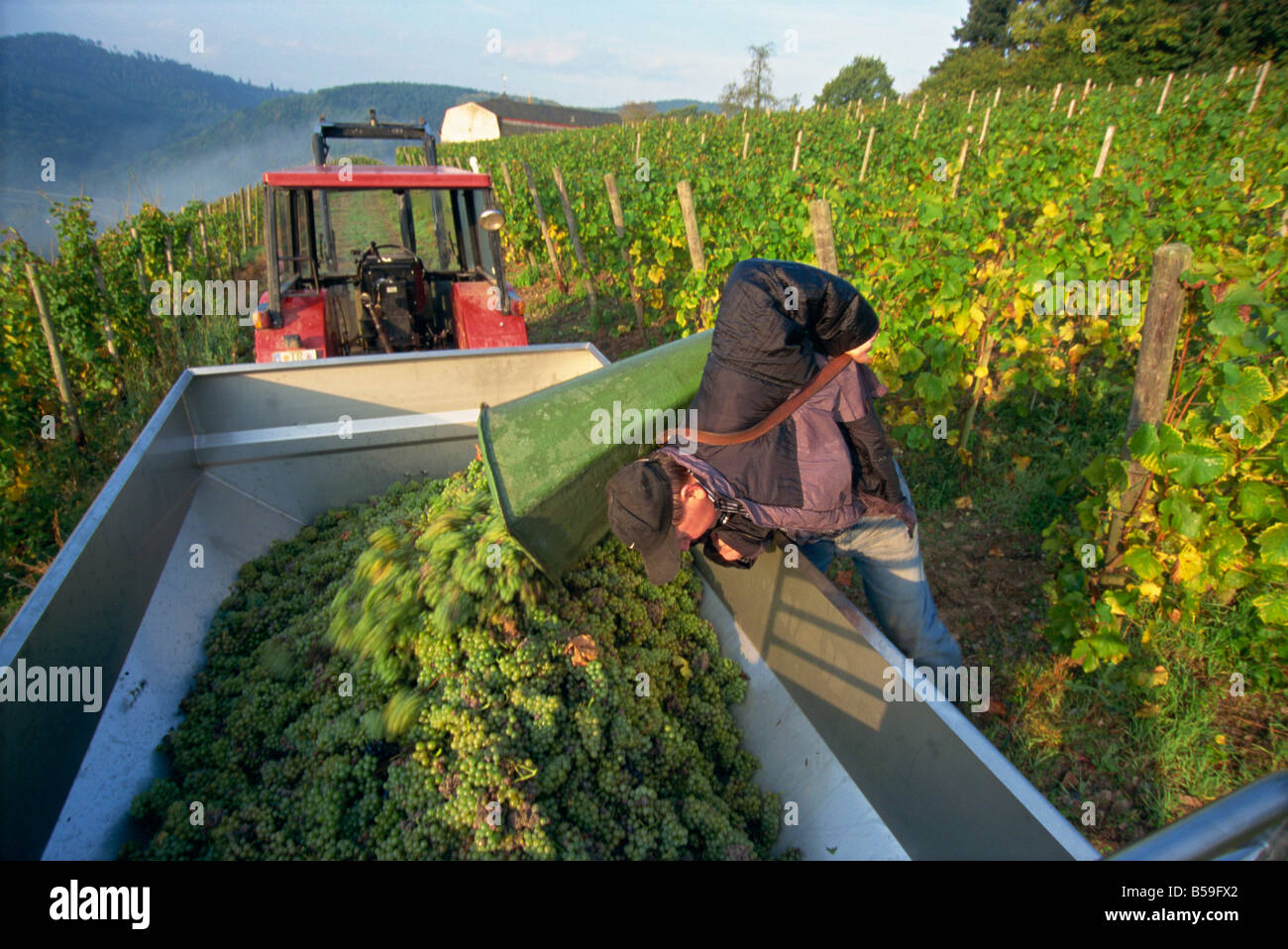 Mosel valley hi-res stock photography and images - Alamy