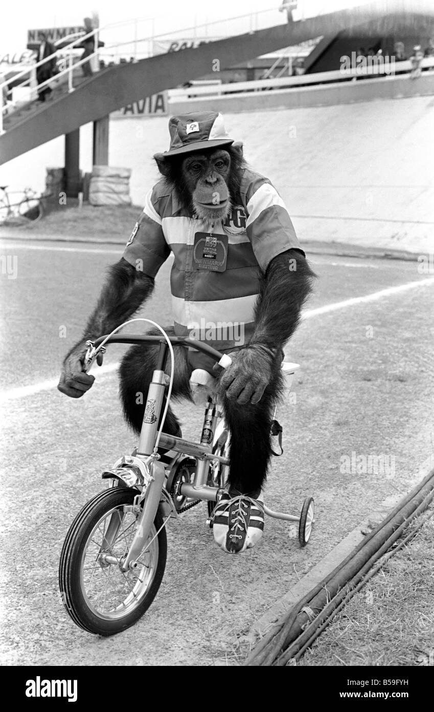 Noddy Chimp on Trike. Brooke Bond Chimp. ÑNoddyÉ the Brooke Bond ÑTour ...