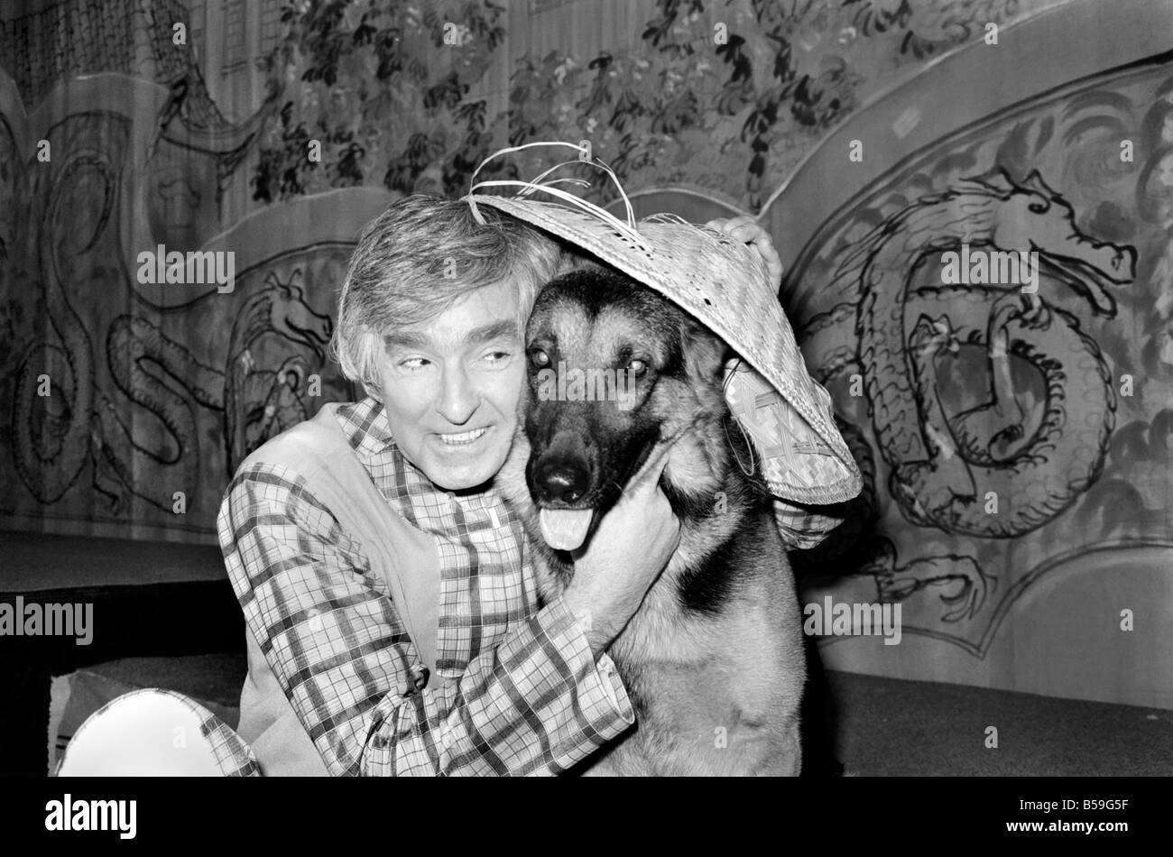 Animals. Dogs. Humour: Panto Pooch. Crosby: Crosby the 3 year old pet ...