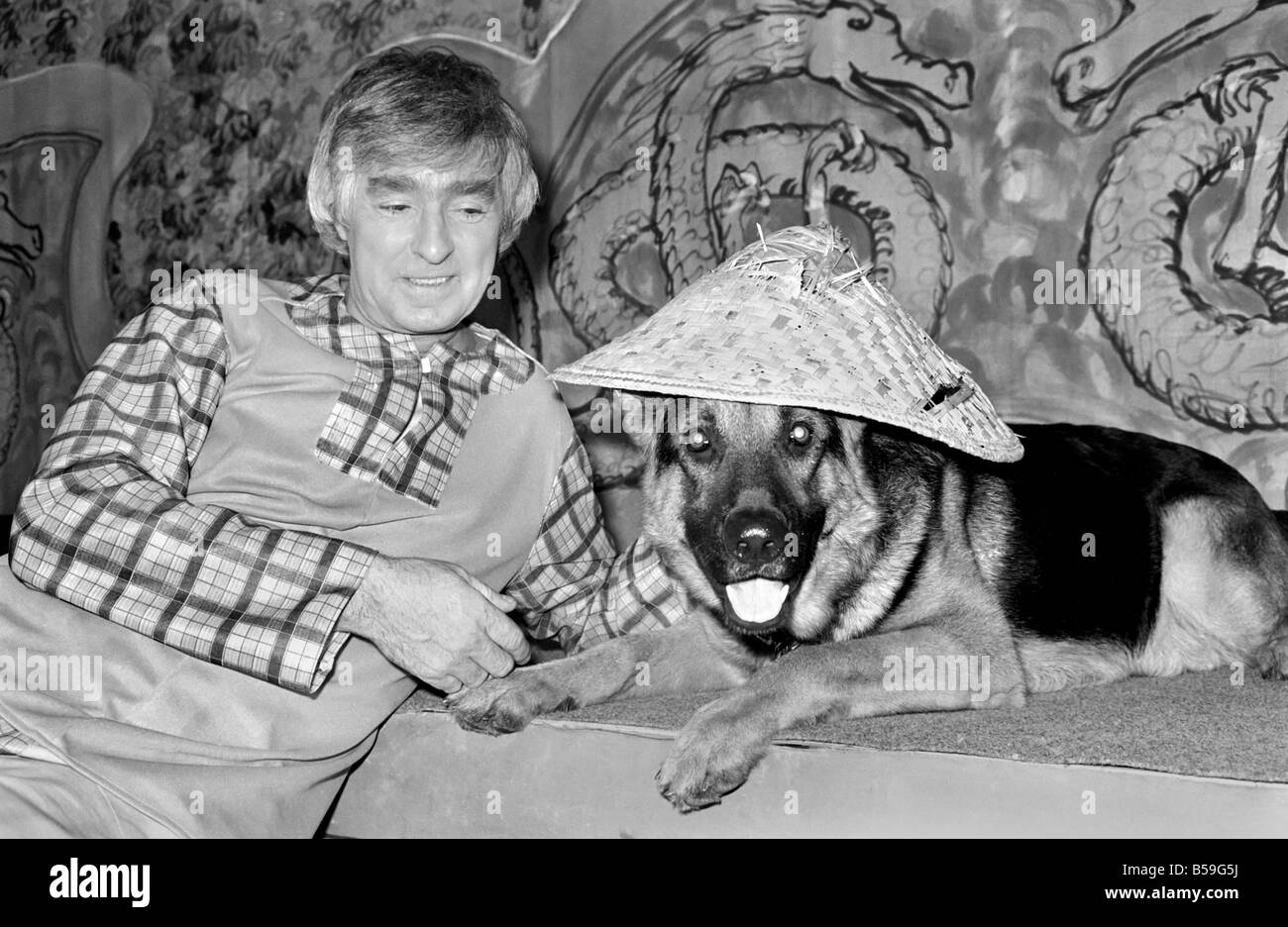 Animals. Dogs. Humour: Panto Pooch. Crosby: Crosby the 3 year old pet ...