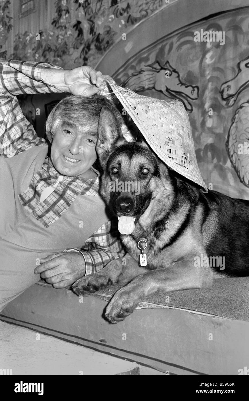 Animals. Dogs. Humour: Panto Pooch. Crosby: Crosby the 3 year old pet ...