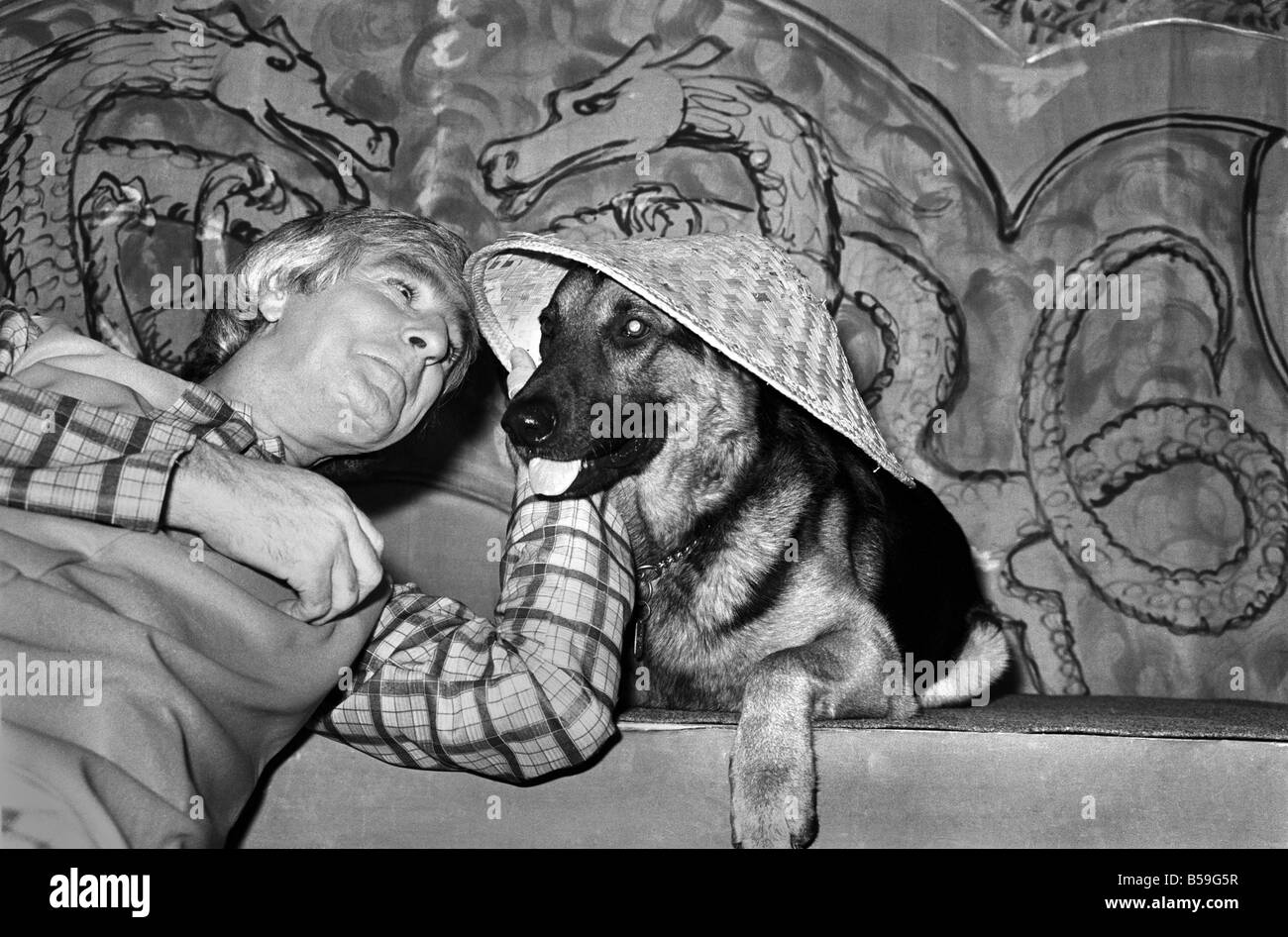 Animals. Dogs. Humour: Panto Pooch. Crosby: Crosby the 3 year old pet ...