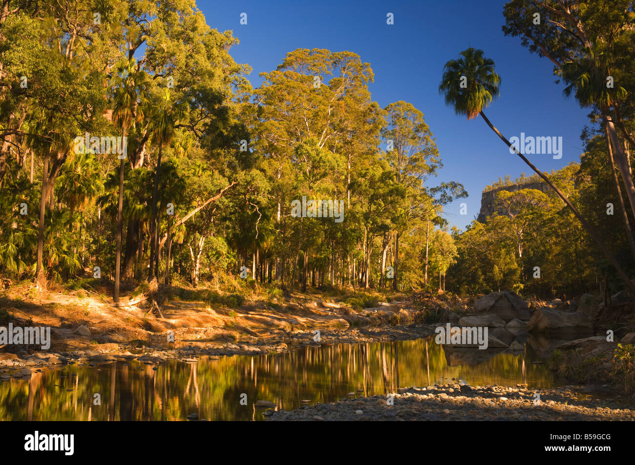 Carnarvon Creek, Carnarvon Gorge, Carnarvon National Park, Queensland ...
