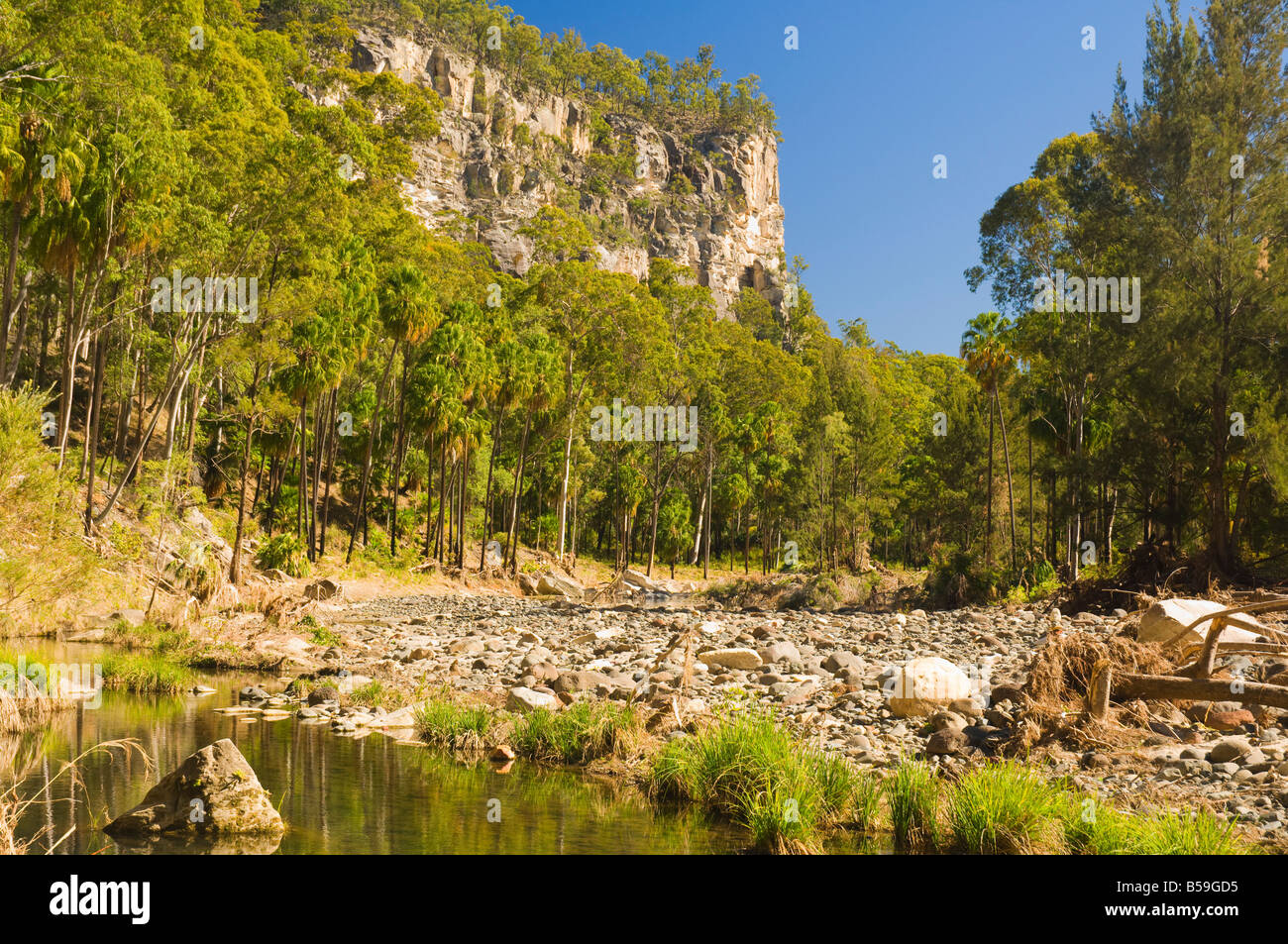 Carnarvon Creek, Carnarvon Gorge, Carnarvon National Park, Queensland ...