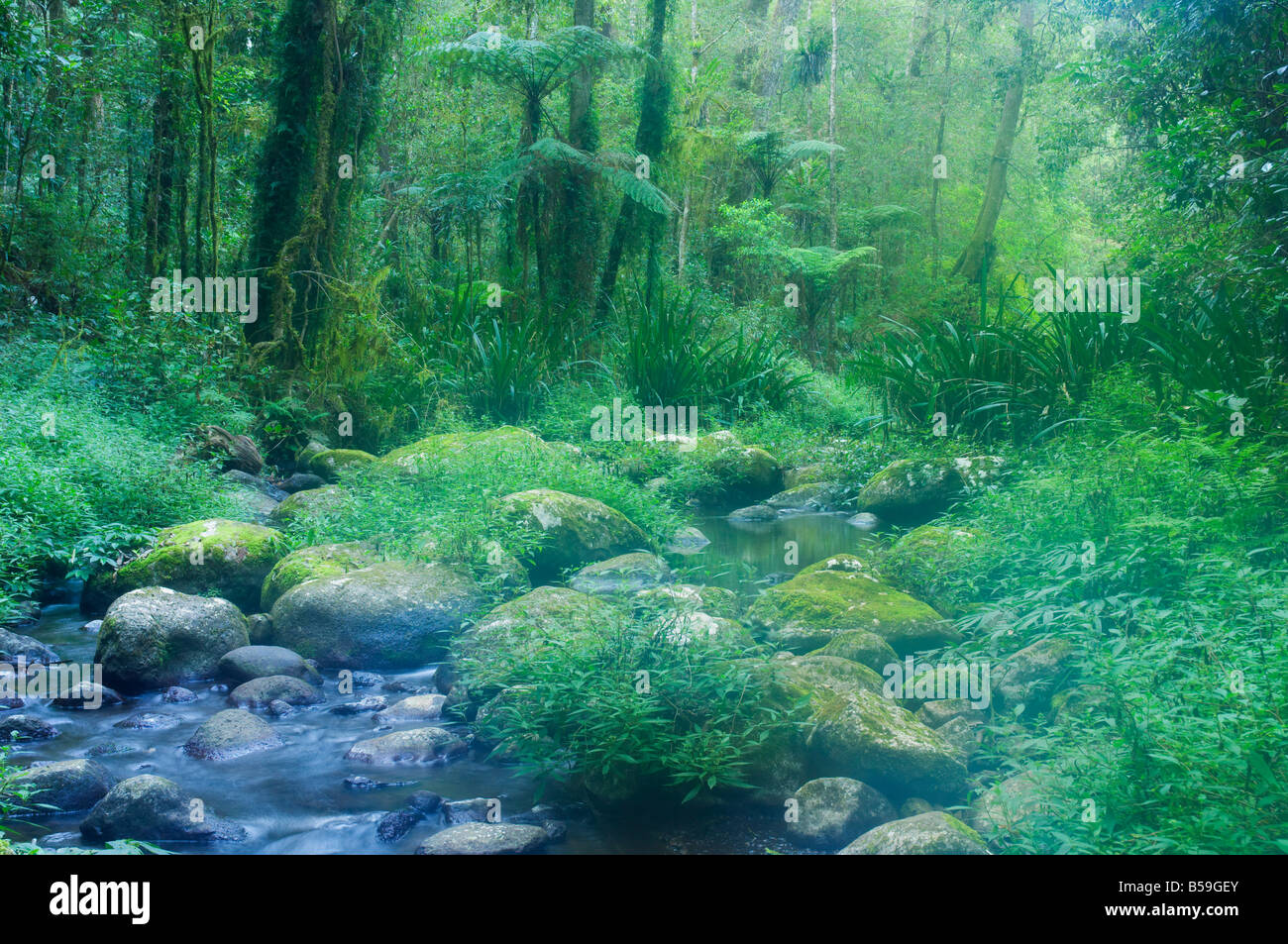Border ranges national park hi-res stock photography and images - Alamy