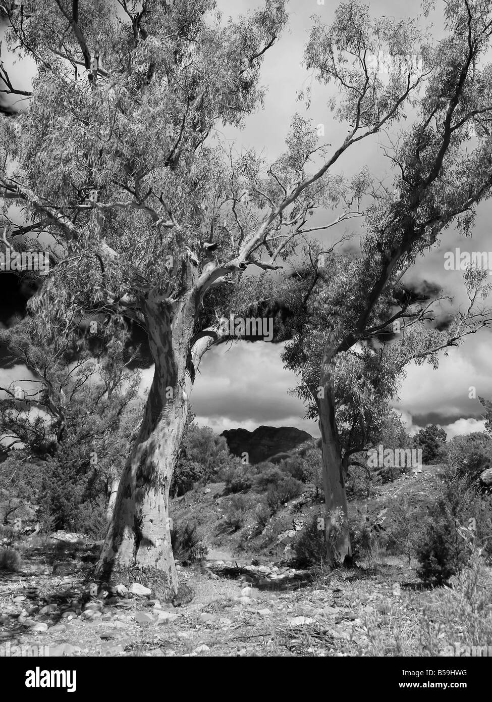 Kangaroo Creek and Elder Range Stock Photo - Alamy
