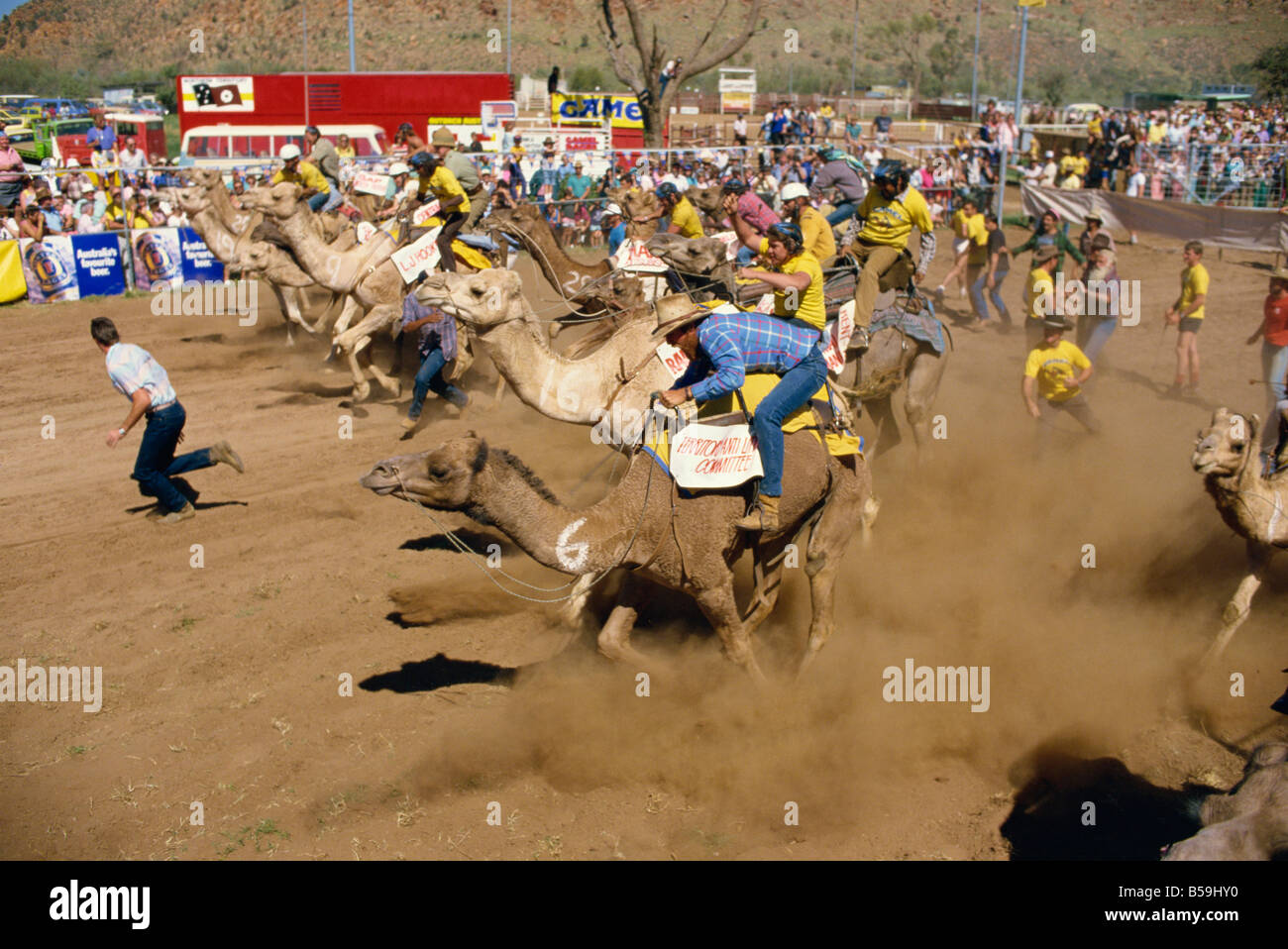 Camel racing Alice Springs Australia C Leimbach Stock Photo - Alamy