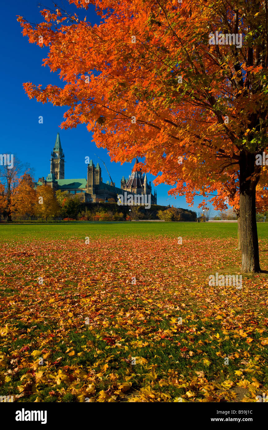 The Canadian Parliament Buildings in Autumn Stock Photo - Alamy