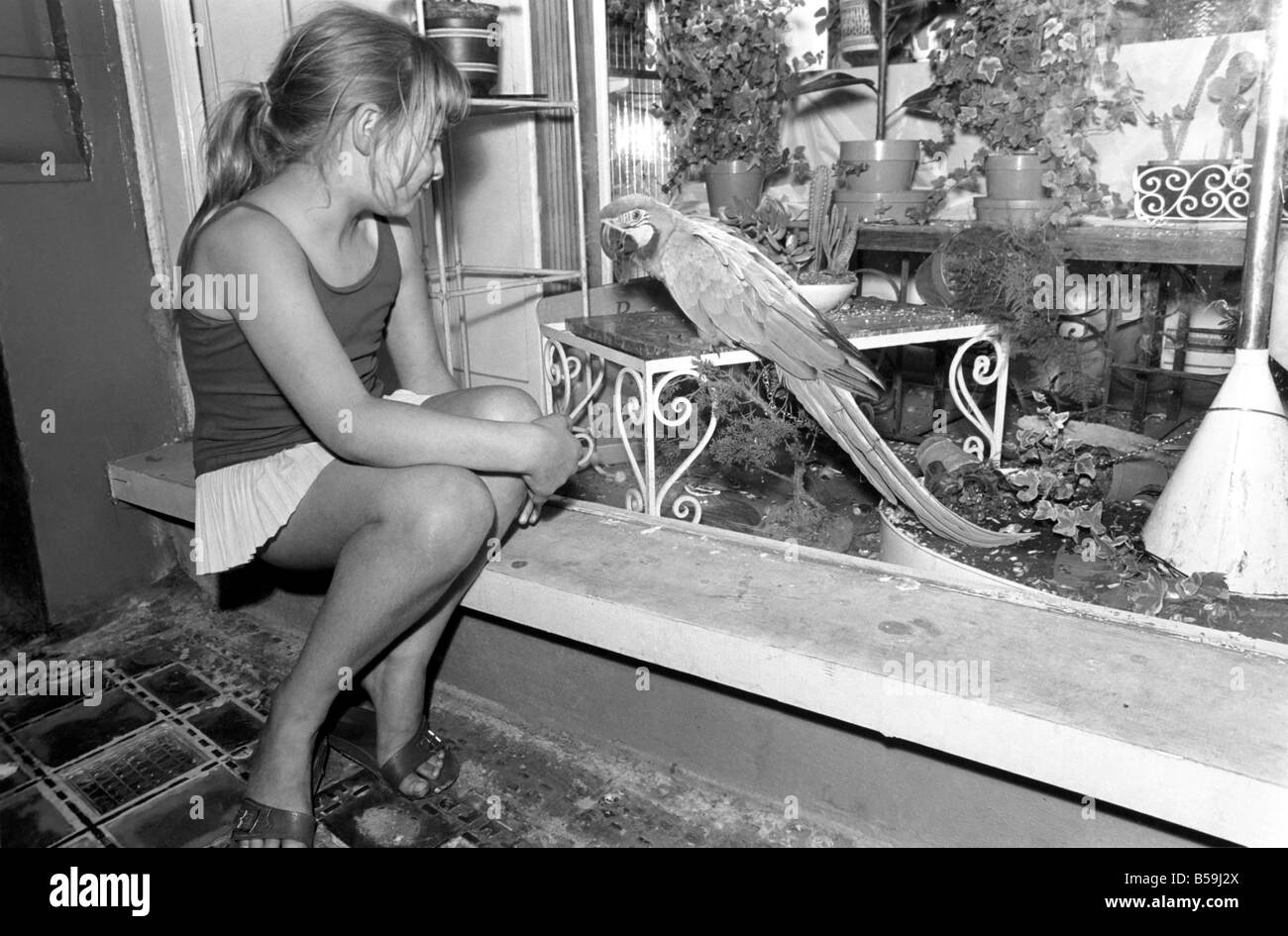 Unusual: Animals: Trapped Parrot. Little Ann Grange aged 10 sits and ...