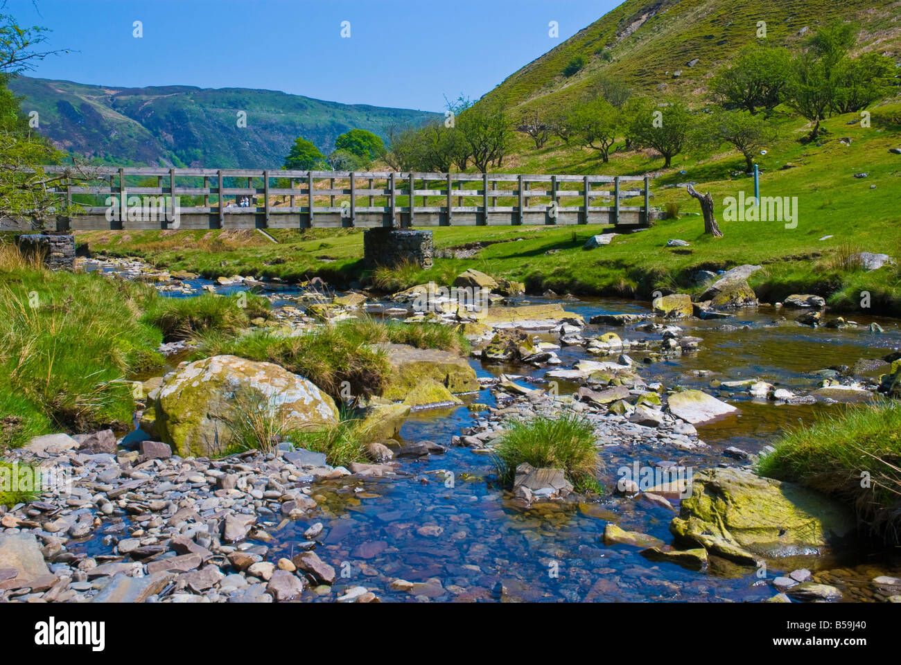 Wooden bridge over River Eiddew Powys Wales Stock Photo - Alamy