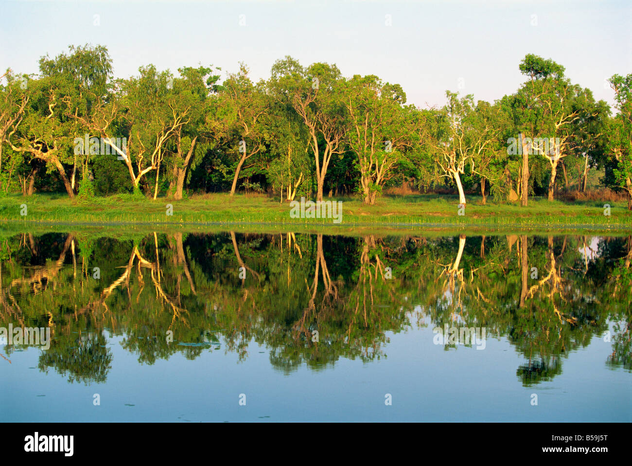Annaburroo billabong hi-res stock photography and images - Alamy