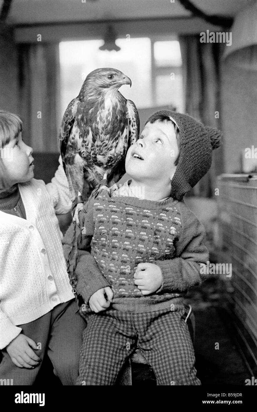 Animal/pet/unusual. Children with Buzzard. December 1970 71-00012-003 ...