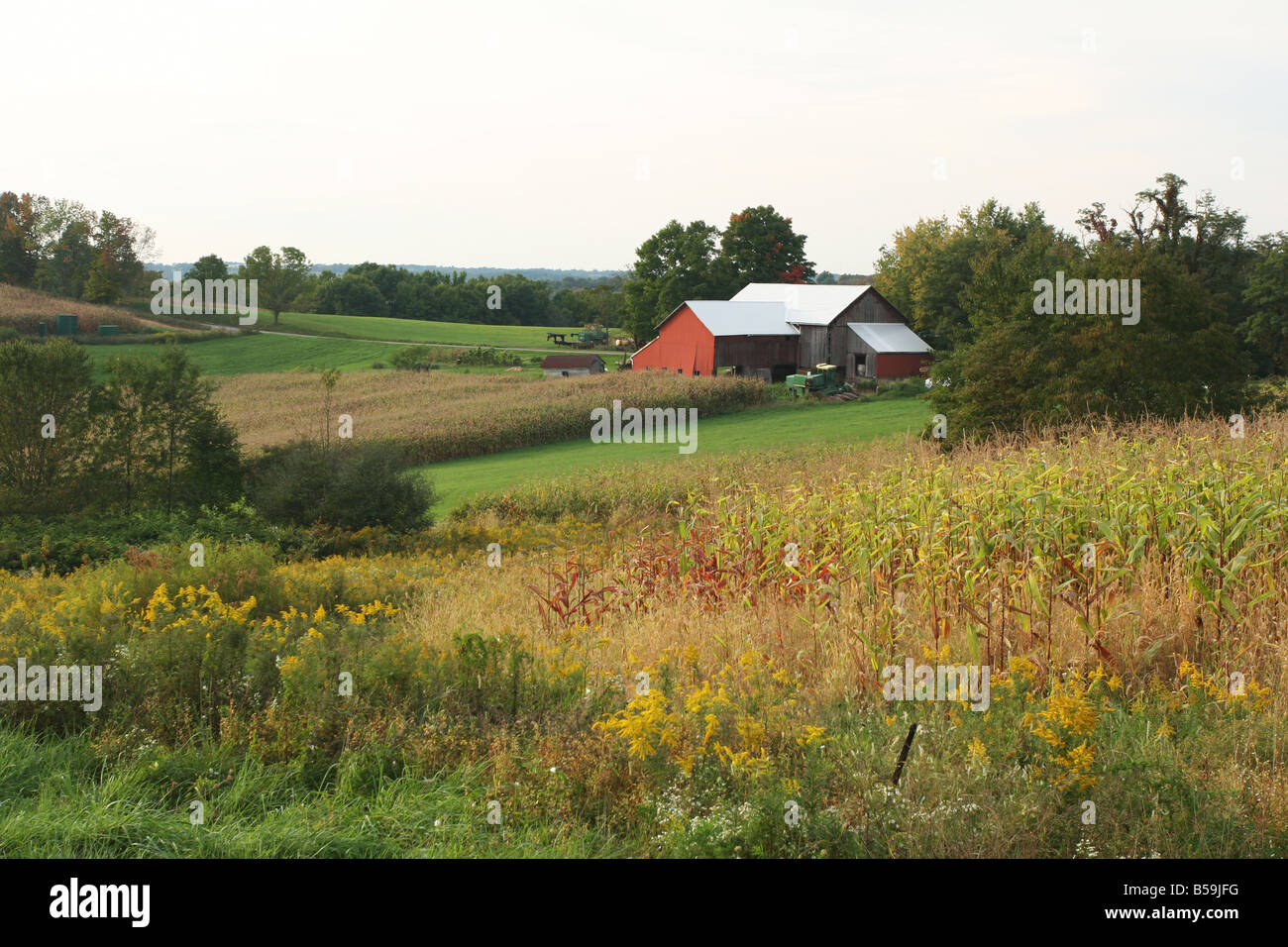 Ohio amish area hi-res stock photography and images - Alamy