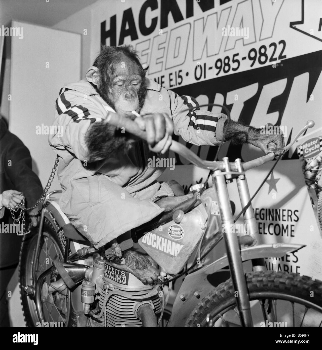 Jawa bike hi-res stock photography and images - Alamy