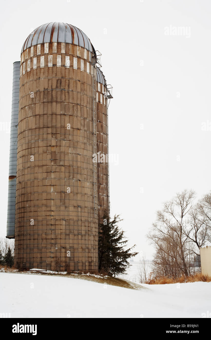 Two silos stand side by side under a cloudy sky in the winter Stock ...