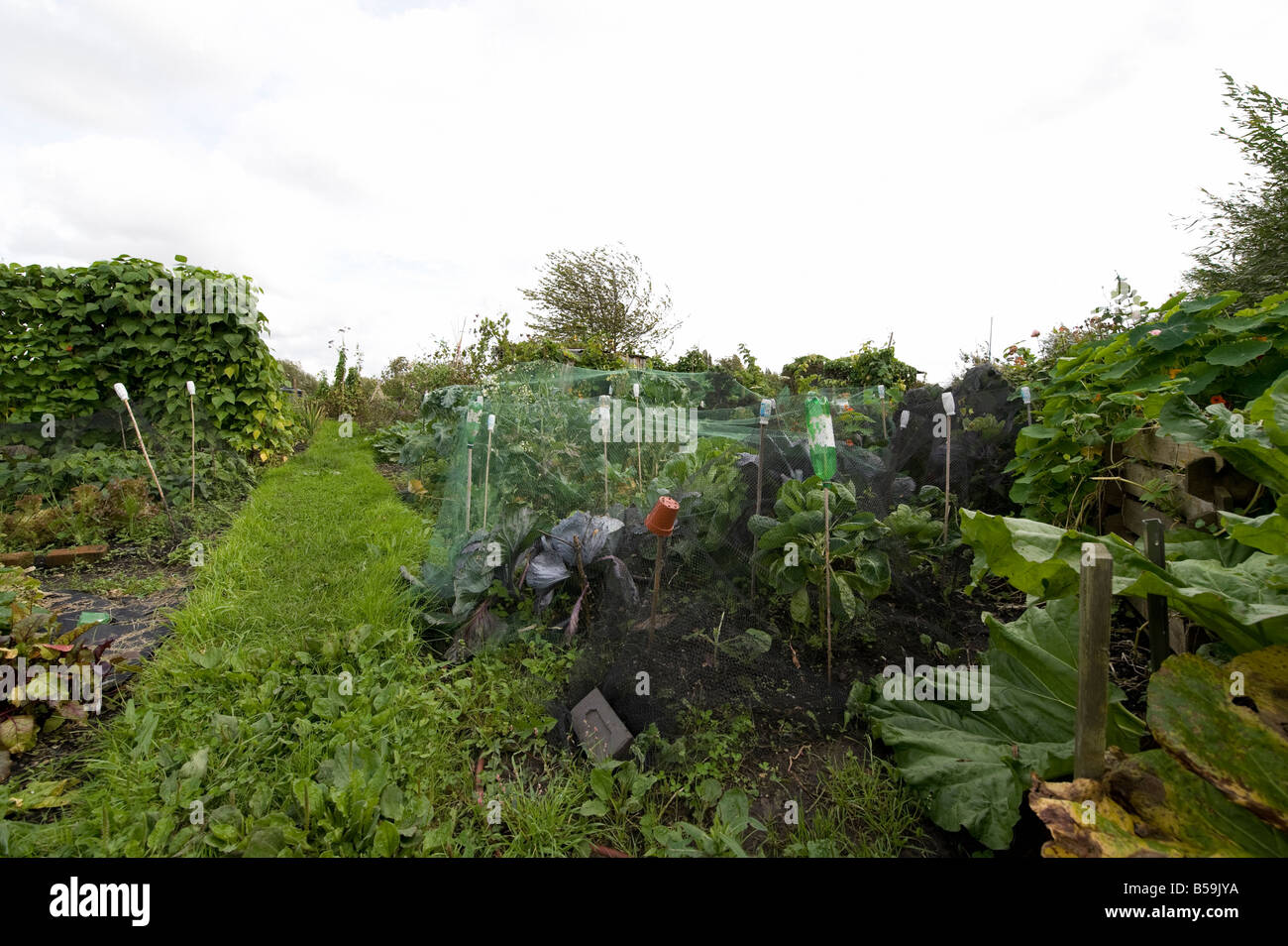 Allotment plots hi-res stock photography and images - Alamy