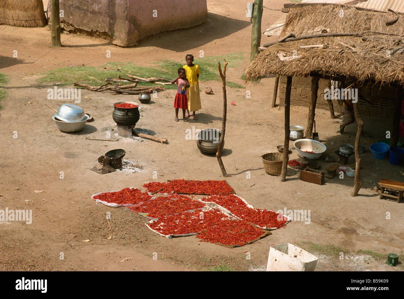 Drying chillies northern area Ghana West Africa Africa Stock Photo - Alamy