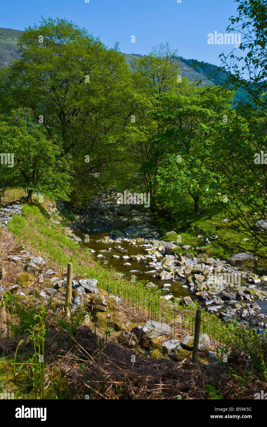 River (Afon) Eiddew flowing through valley above Lake Vyrnwy, Powys ...