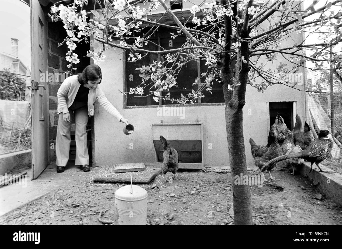Woman feeds birds Black and White Stock Photos & Images - Alamy