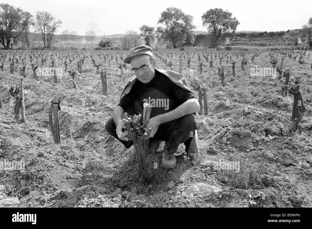 Outside wine Black and White Stock Photos & Images - Alamy