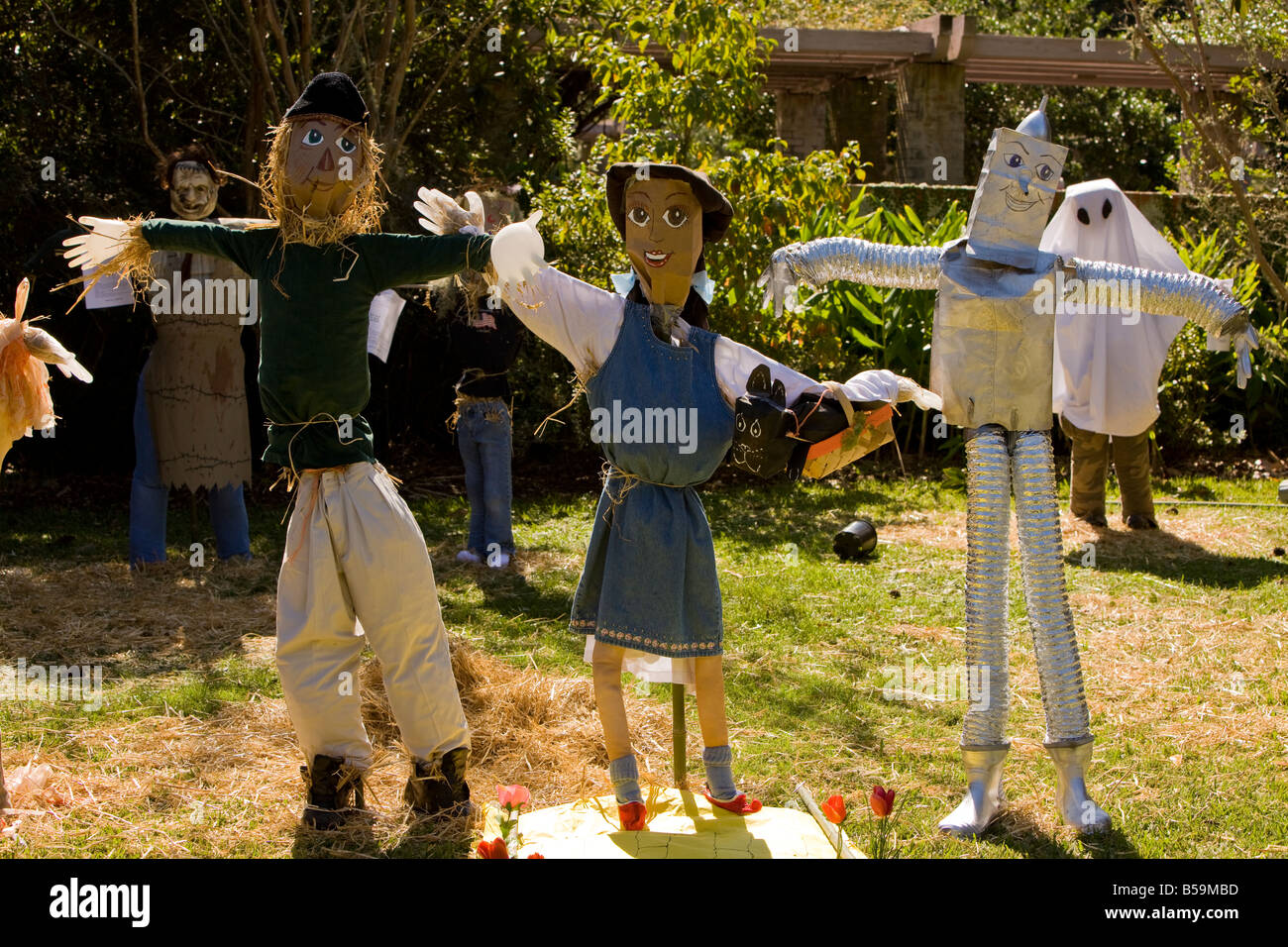 The Wizard Of Oz Scarecrow Scene