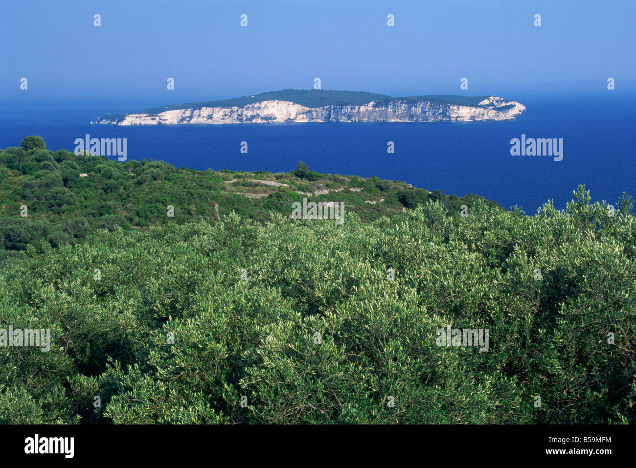 Olive groves and the island of Anti-Paxos seen from Paxos, Greek ...