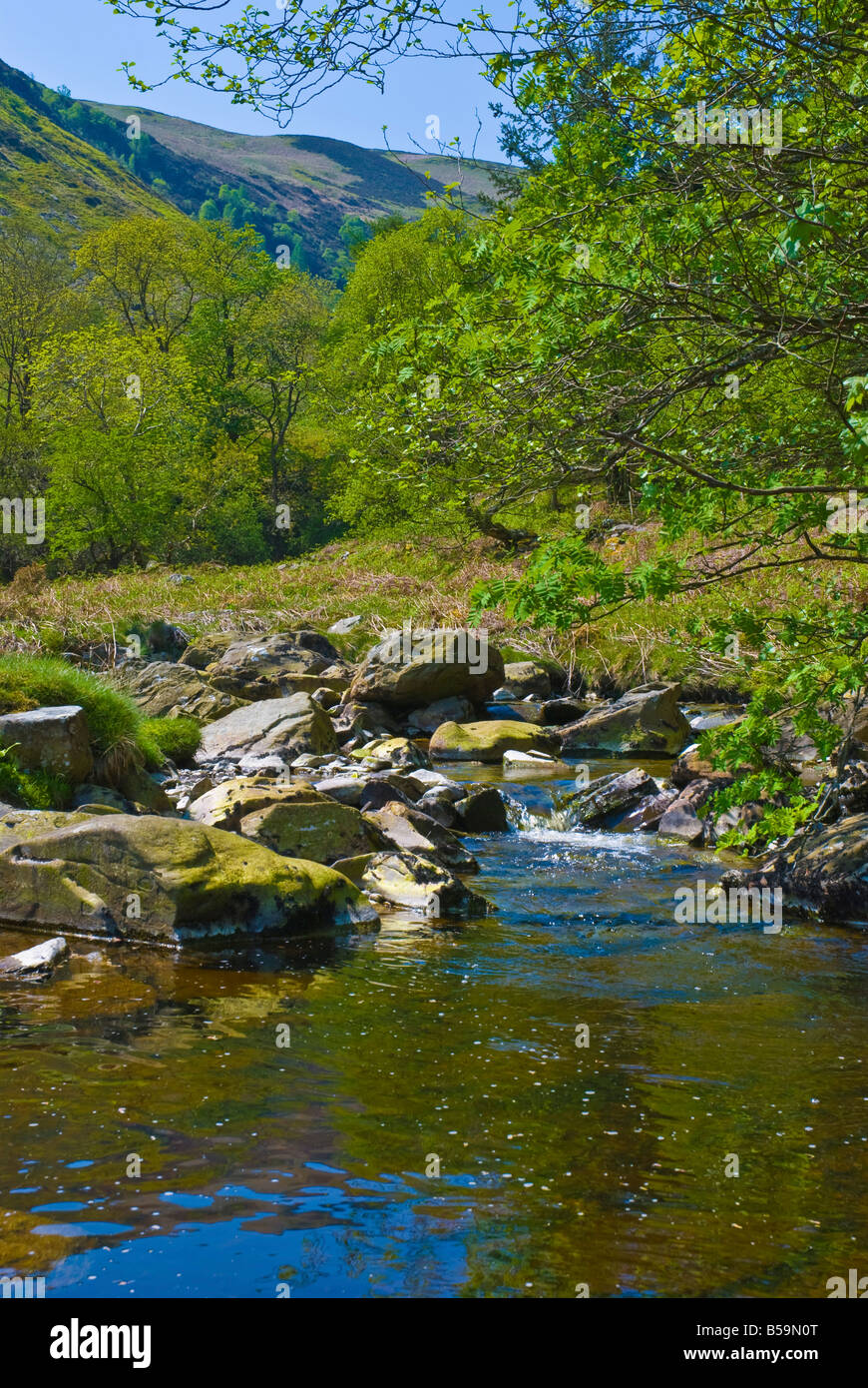 Afon eiddew hi-res stock photography and images - Alamy