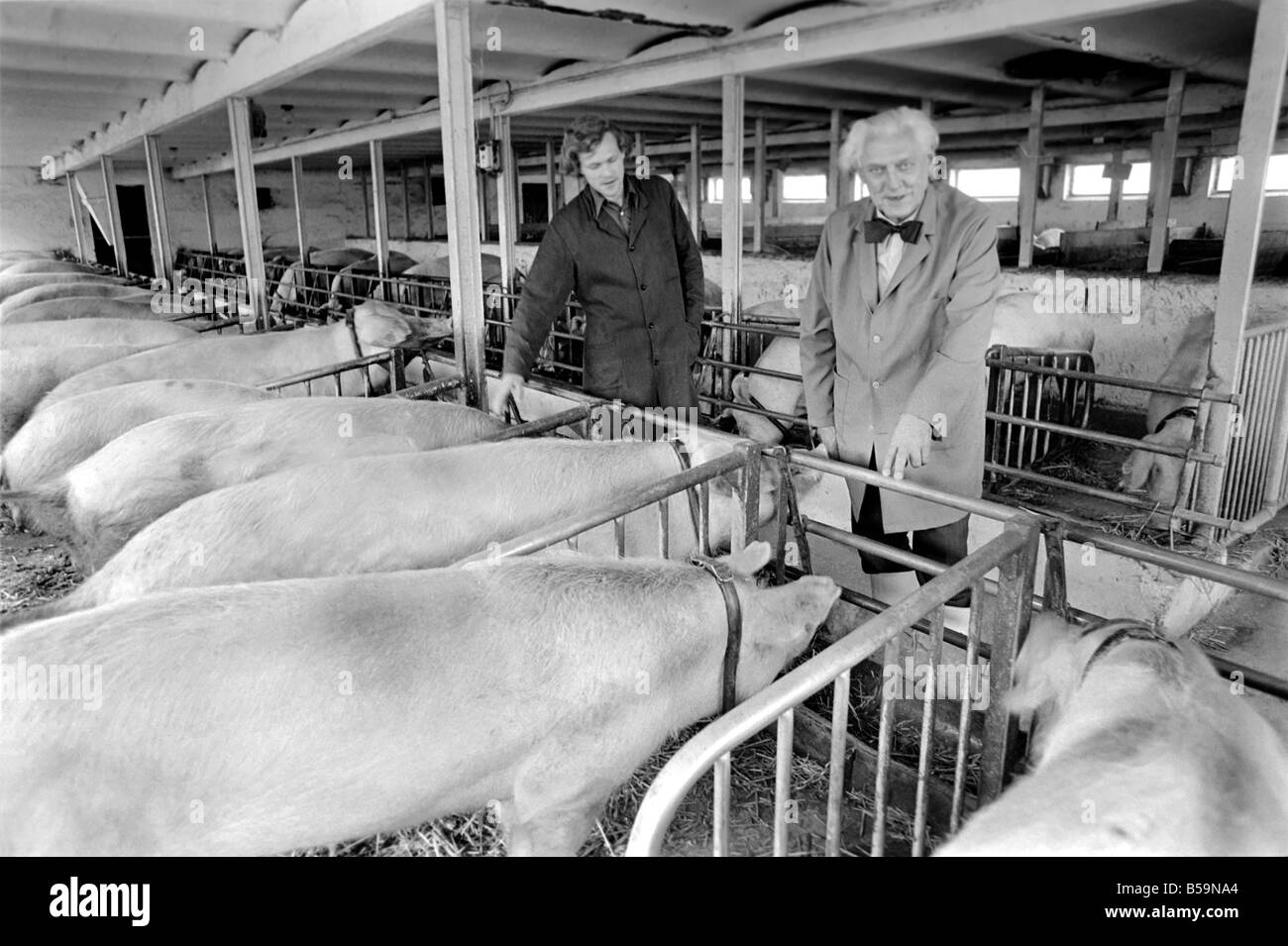 2211 High Resolution Stock Photography and Images - Alamy