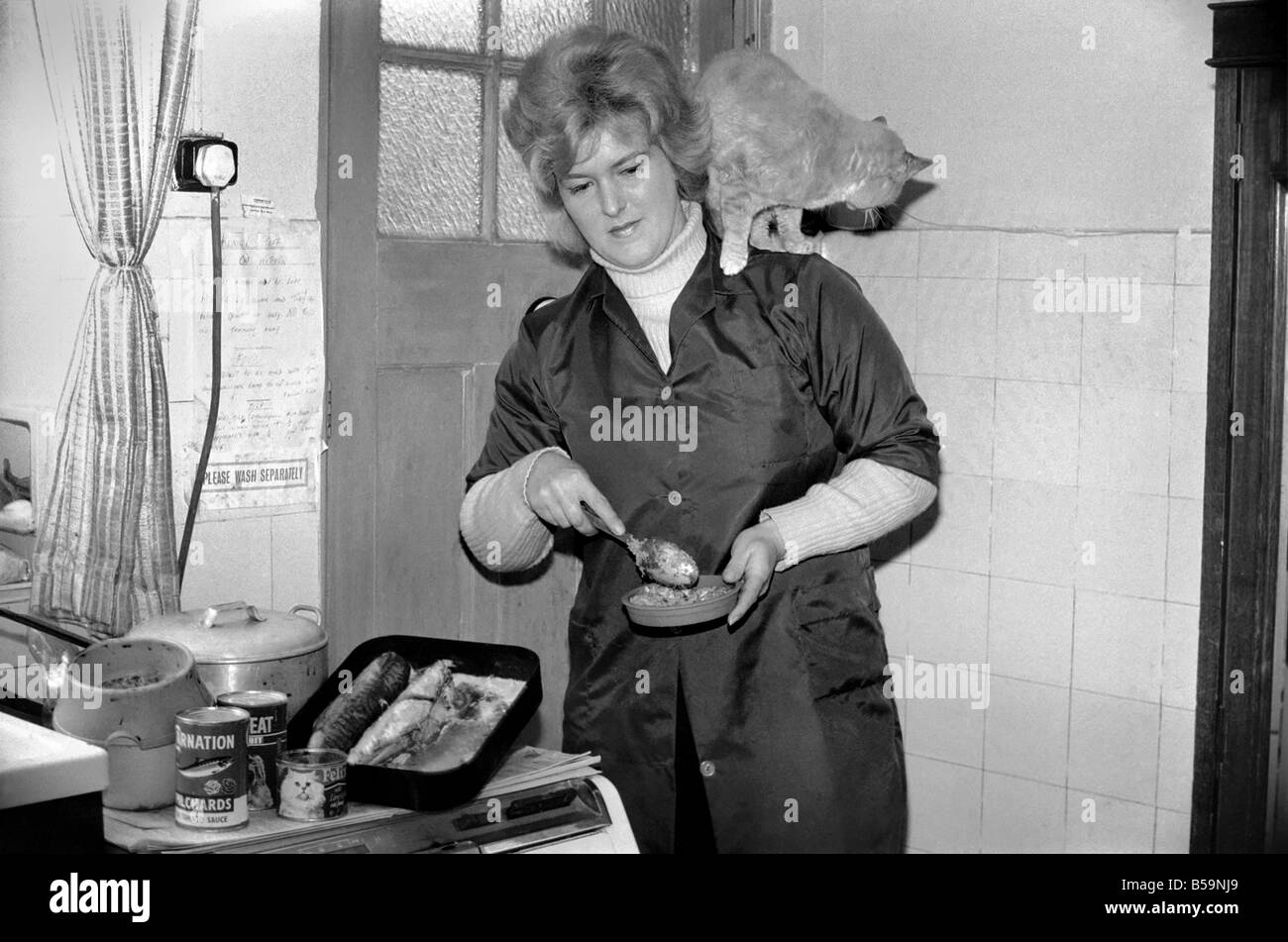 1970s hotel suite hi-res stock photography and images - Alamy