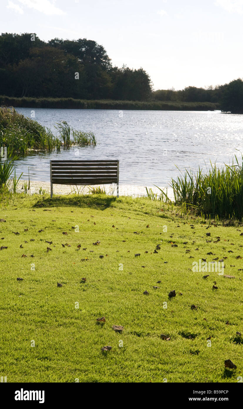 Bench overlooking boating lake hi-res stock photography and images - Alamy