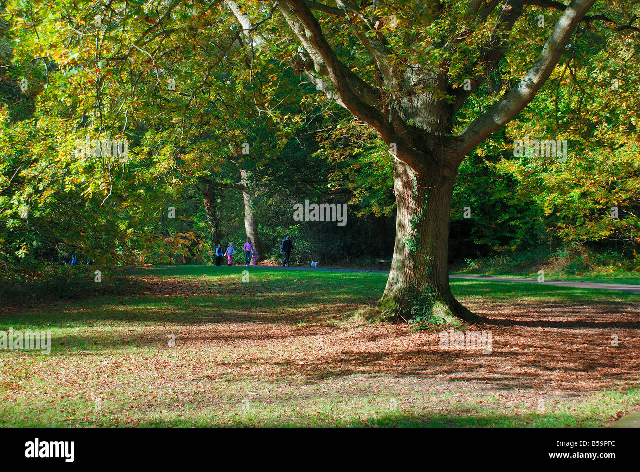Family walking dog hi-res stock photography and images - Alamy