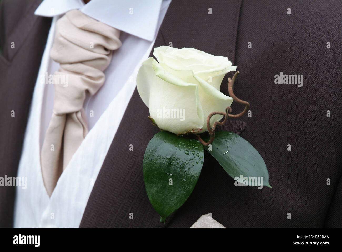 Button hole flowers hi-res stock photography and images - Alamy