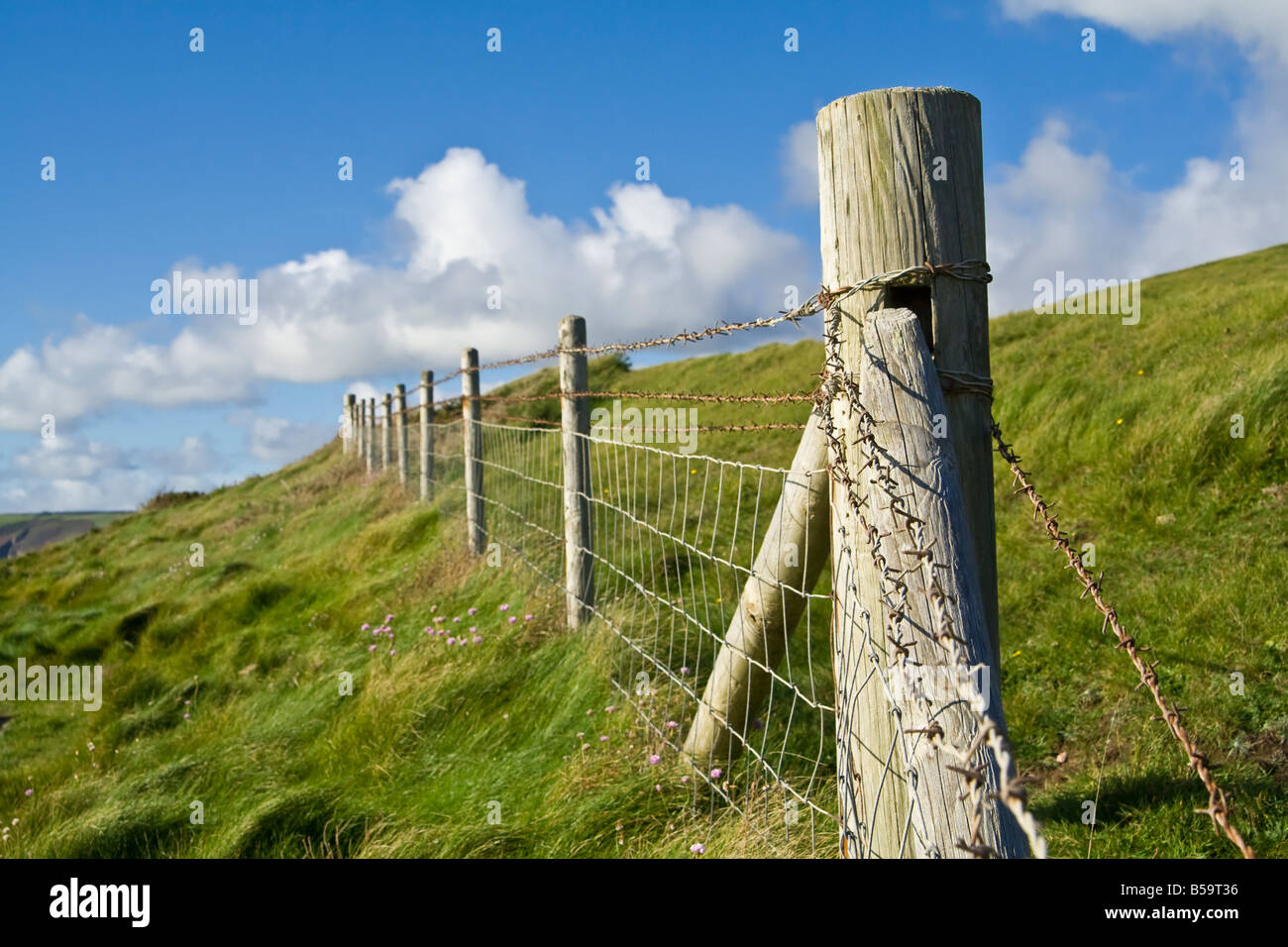A line of fencing Stock Photo - Alamy