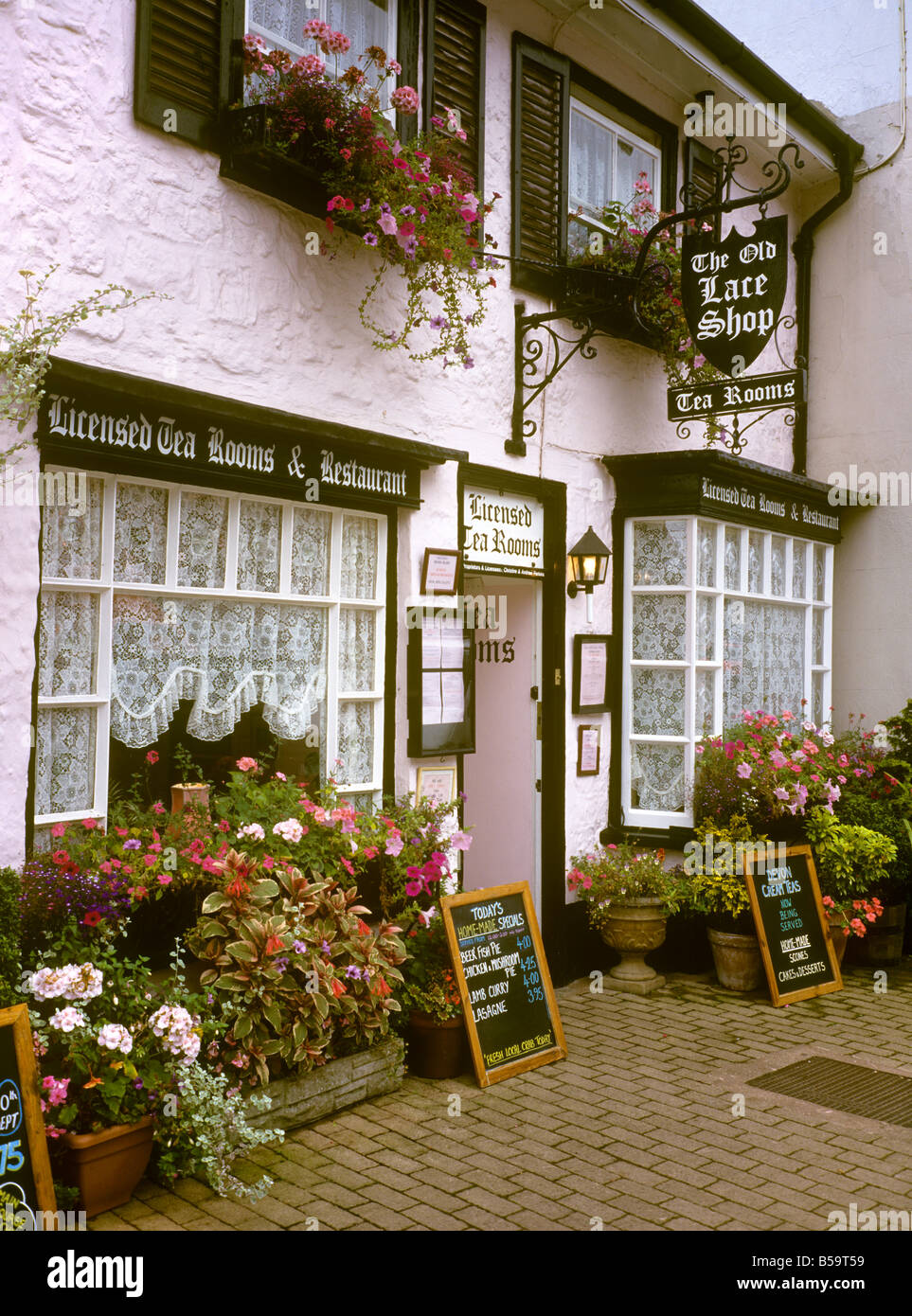 Tea planter hi-res stock photography and images - Alamy