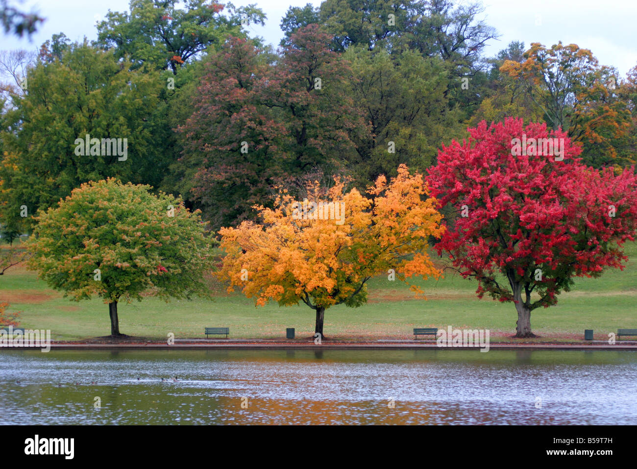 Fall colors at the park Stock Photo - Alamy