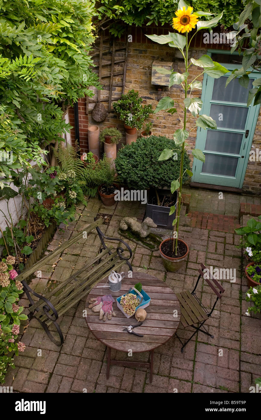 Courtyard garden hi-res stock photography and images - Alamy