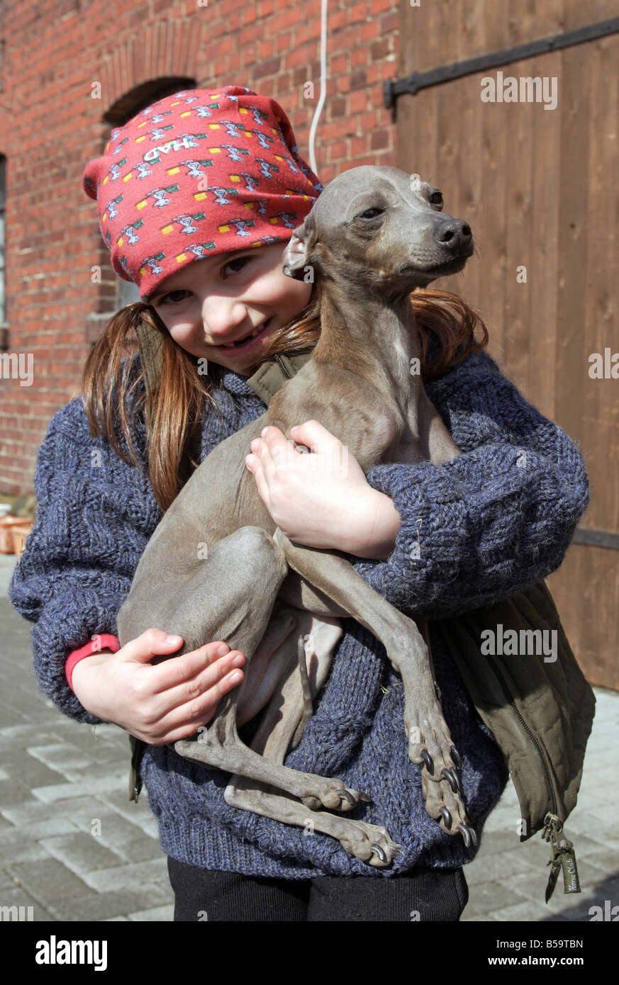 Italian Greyhound Smiling