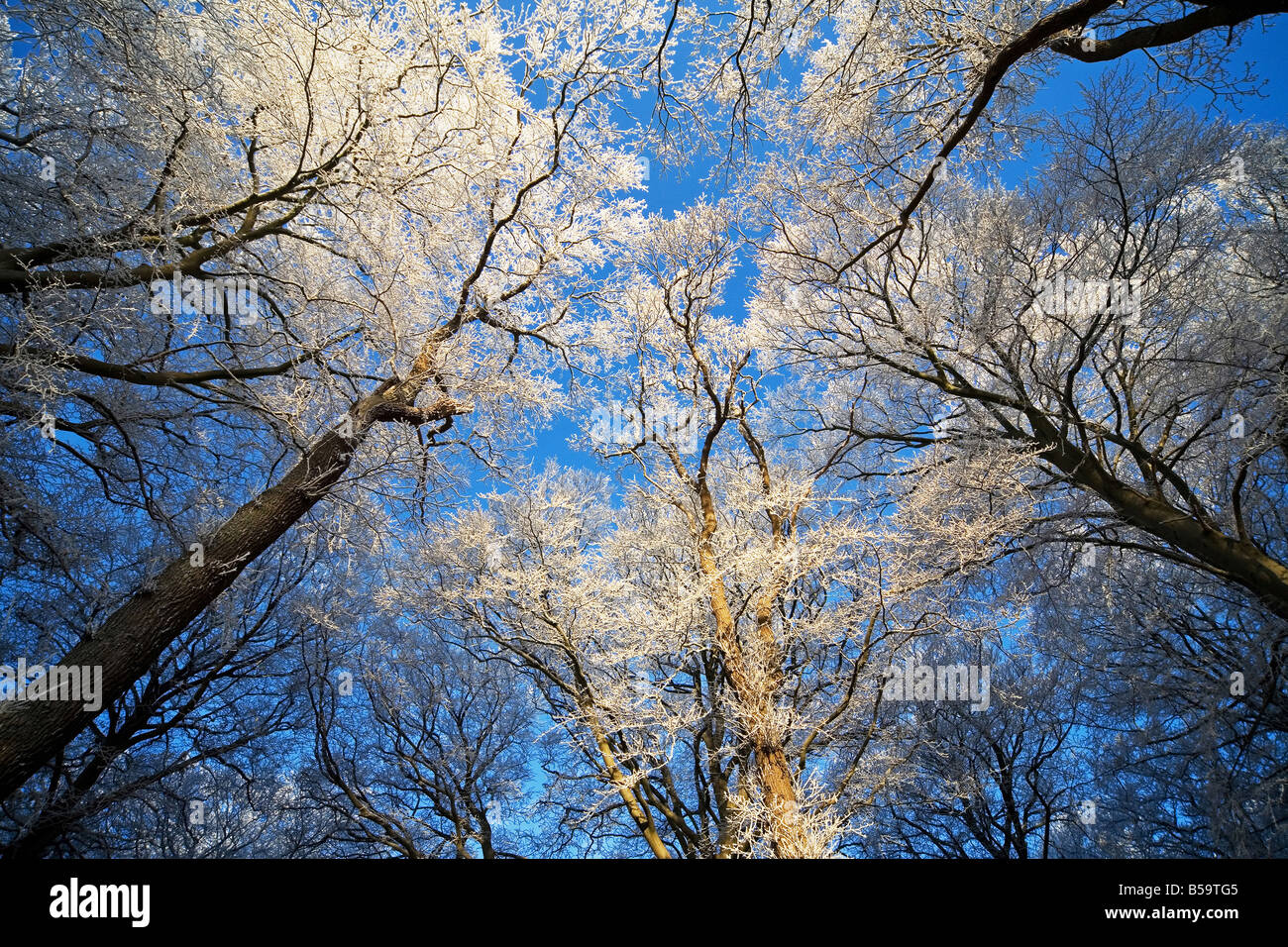 Bevroren hi-res stock photography and images - Alamy