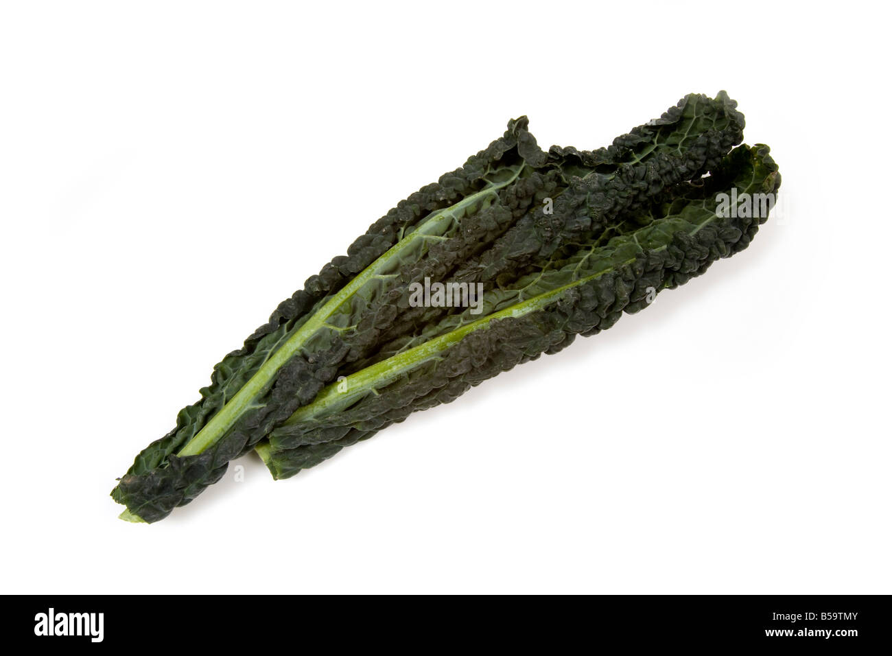 Cavolo Nero an Italian cabbage isolated on a white studio background ...