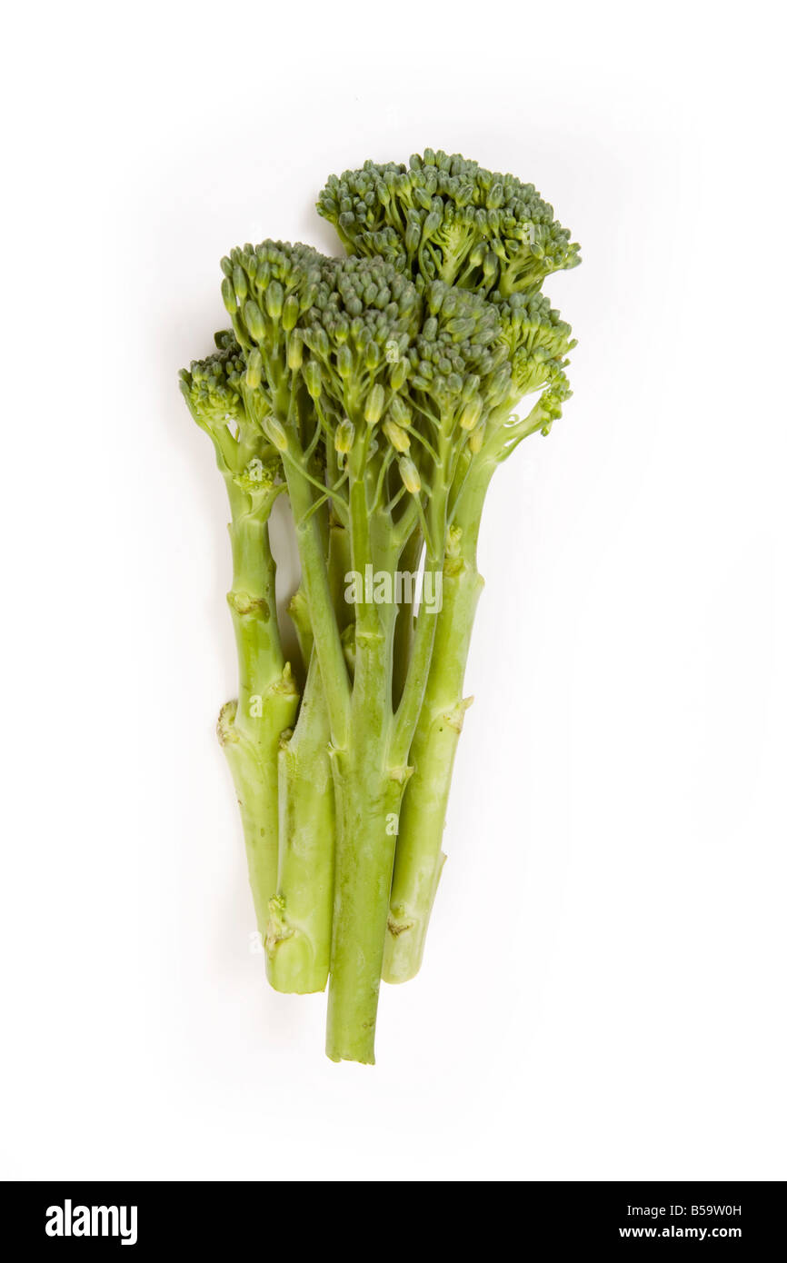 Tender stem Broccoli isolated on a white studio background Stock Photo ...