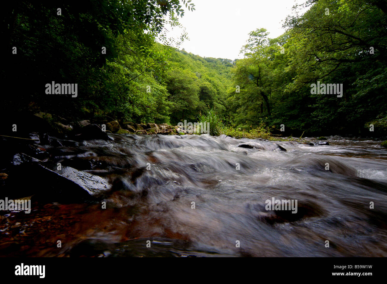 The river Teign in the Teign valley, Devon, England, UK Stock Photo - Alamy