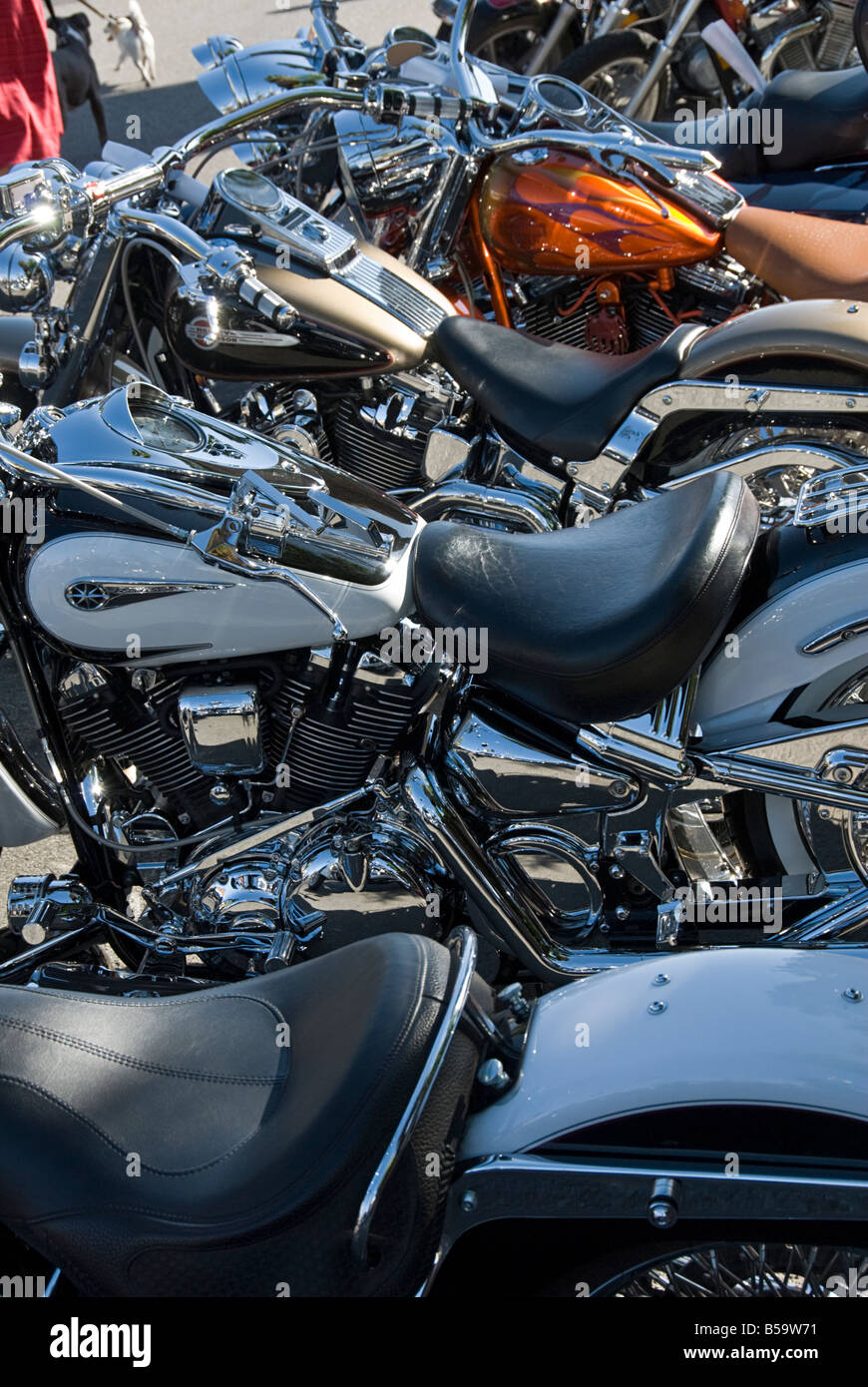 Harley Davidson HOG, attitude American motorcycle Buell Motorcycle ...