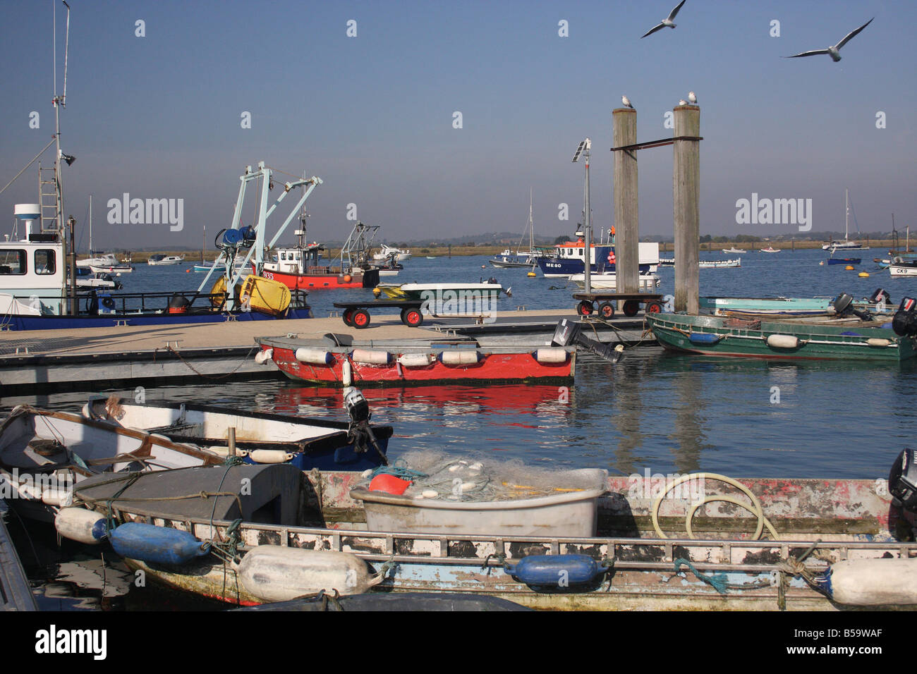 Mersea island fishing hi-res stock photography and images - Alamy