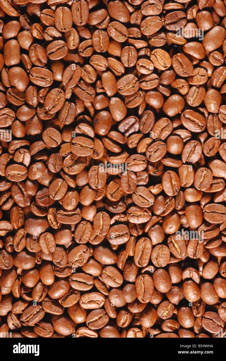 Coffee background Perfect coffee grains High detail Stock Photo - Alamy