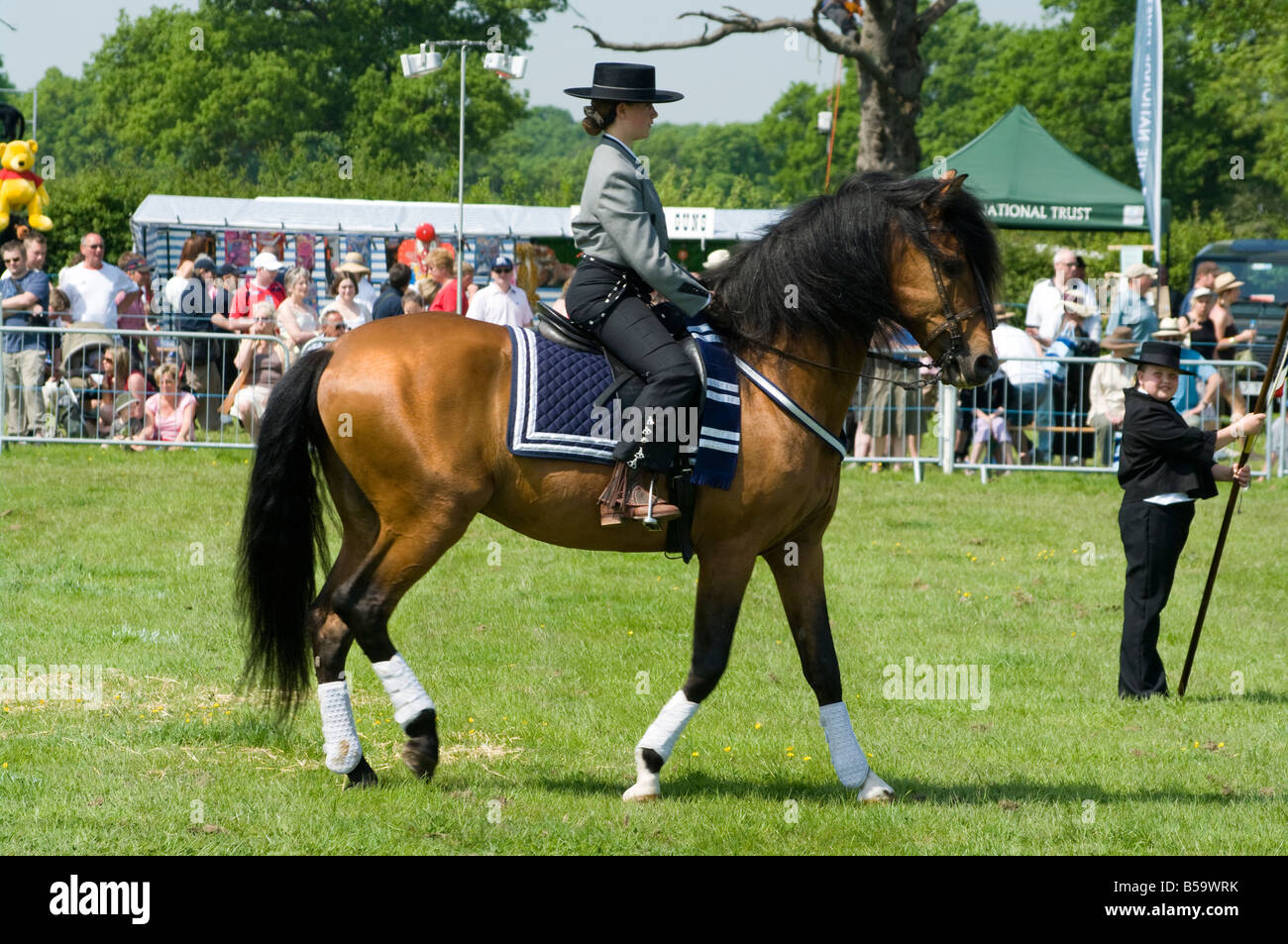 Andalusian Stallion with a Female Rider In Traditional Costume Cowpie ...
