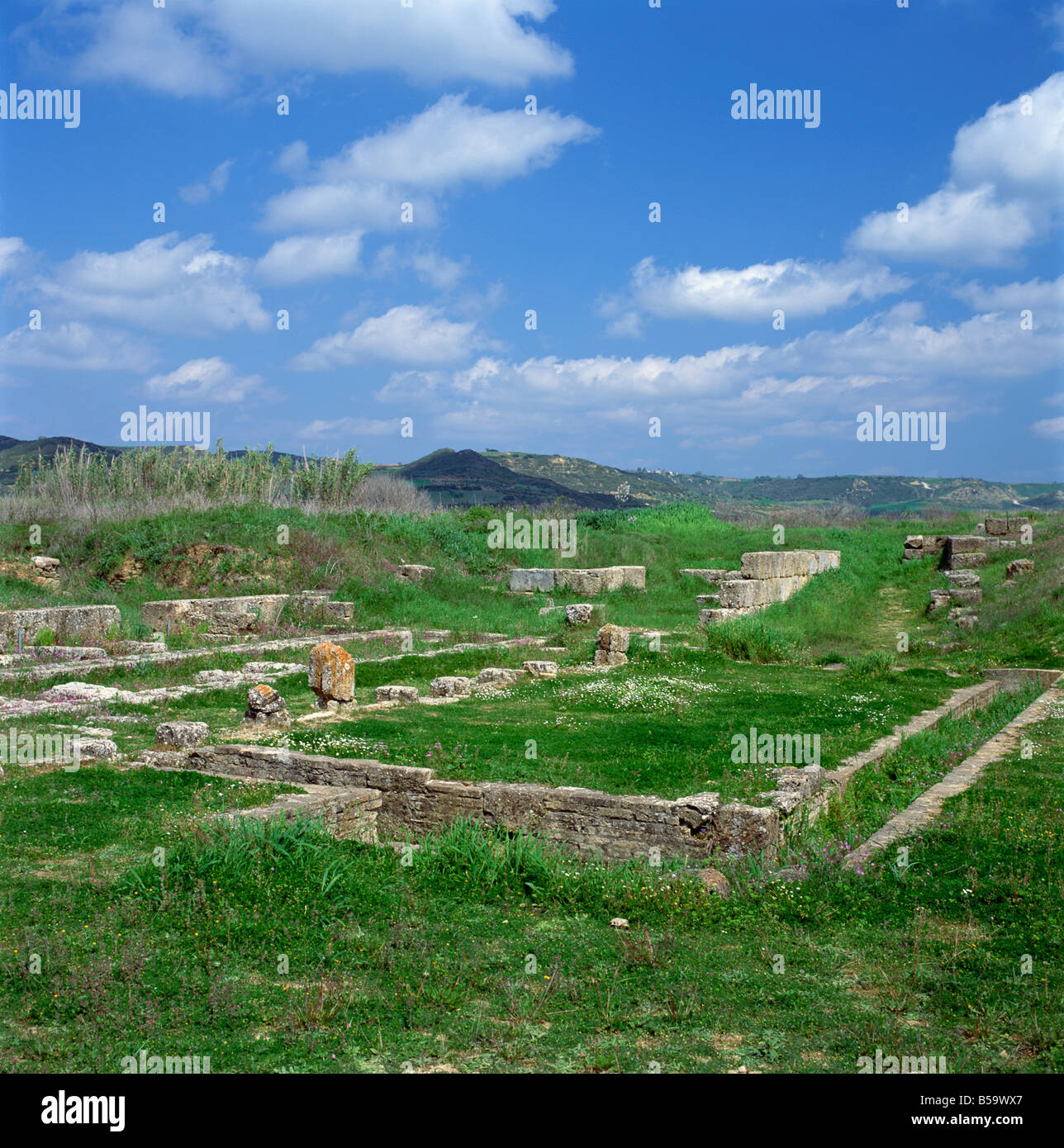 The archaeological site of ancient Elis or Ilieda where athletes ...