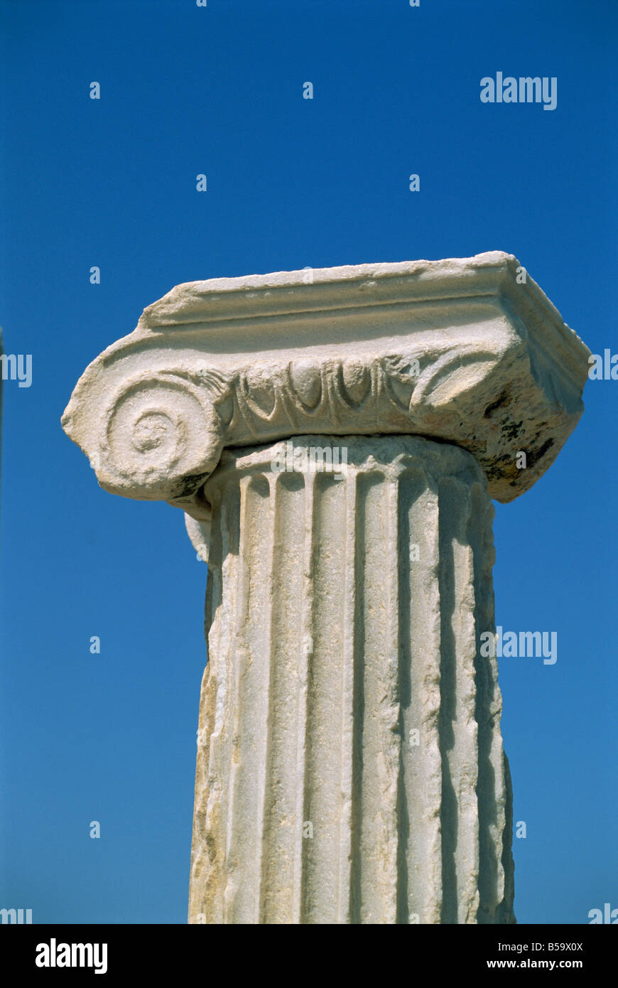 Greek Columns Ionic