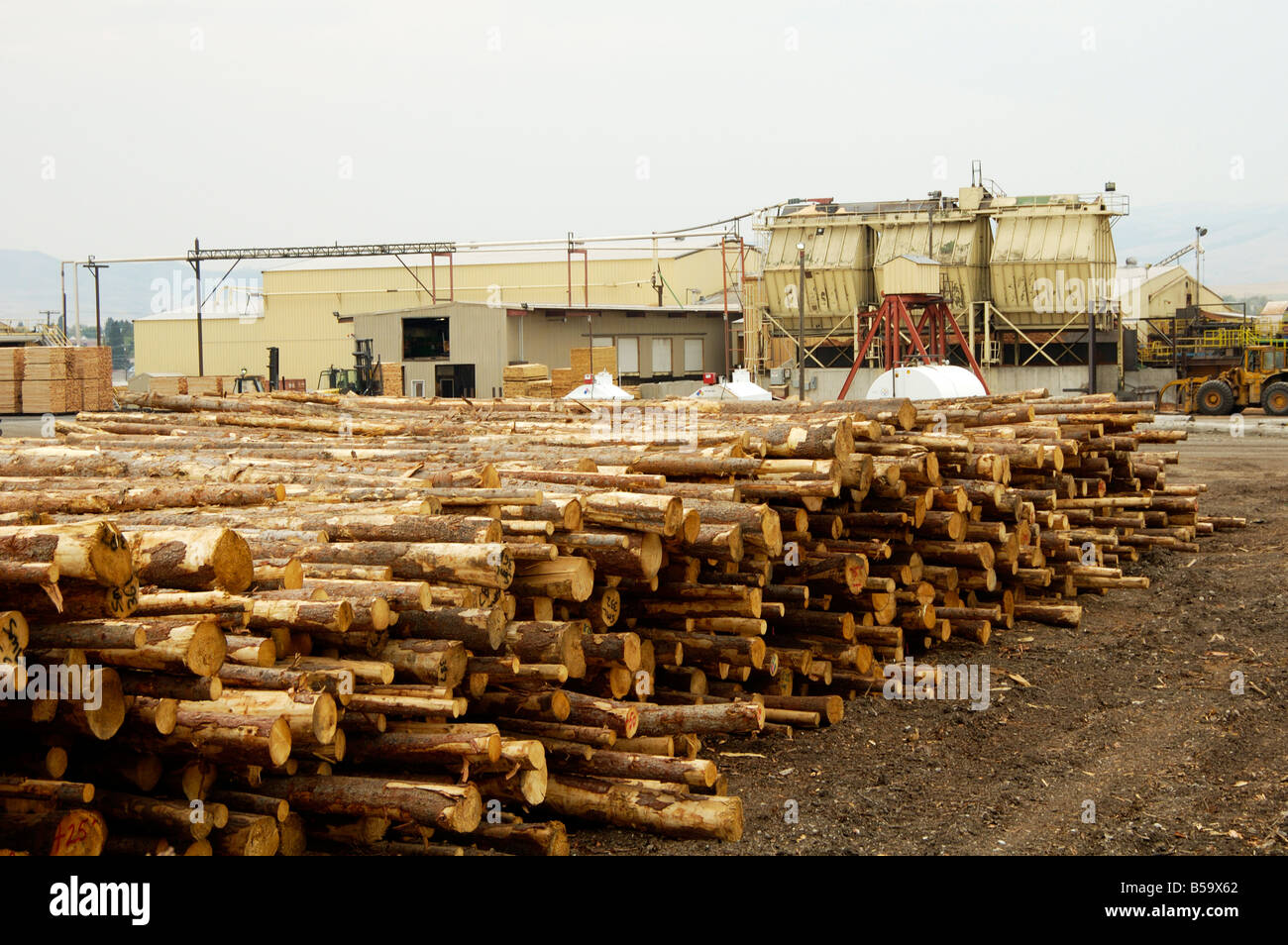 Logs being processed hi-res stock photography and images - Alamy