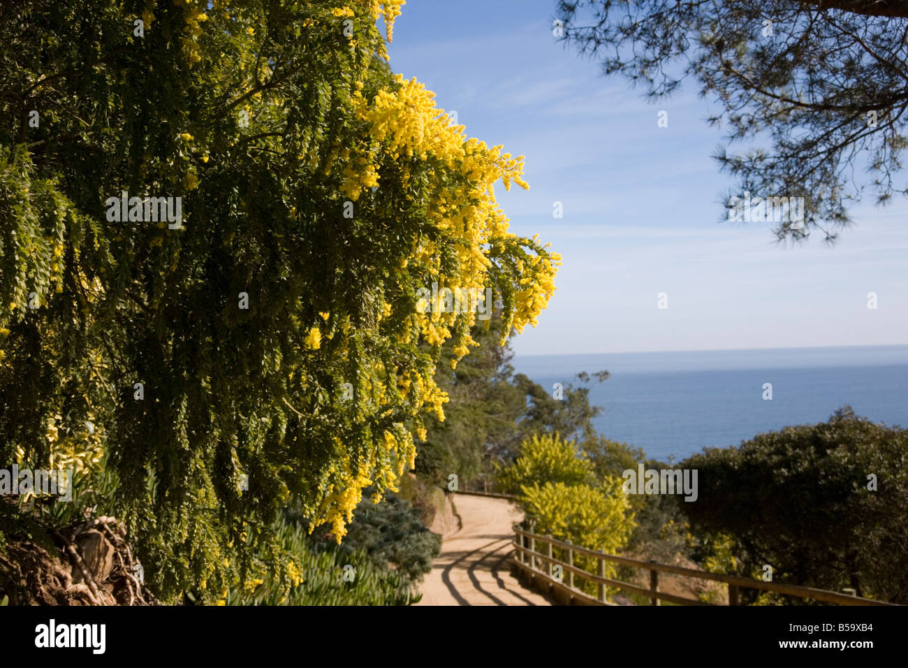 The Botanical Gardens of Cap Roig on the Cami de ronda costa brava ...
