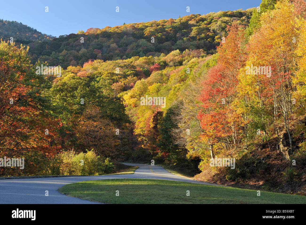 Fall color in blue ridge mountains hi-res stock photography and images ...